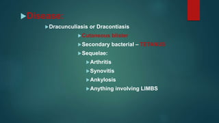 Dracunculus medinensis | PPTX | Pets