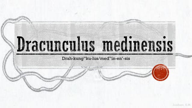 Dracunculus medinensis | PPT