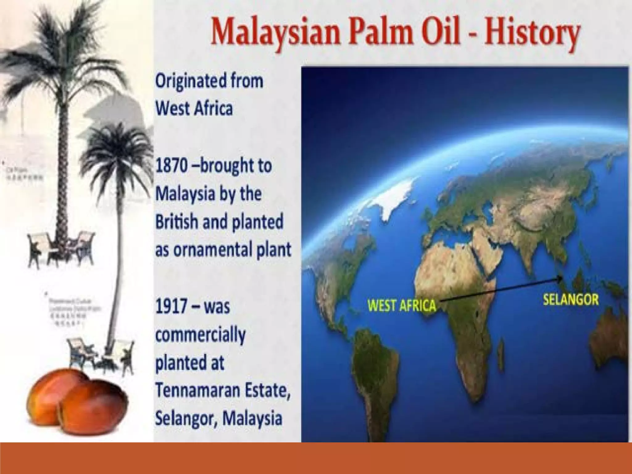 Palm Oil and its Applications in Oleochemicals Industries: an Overview ...
