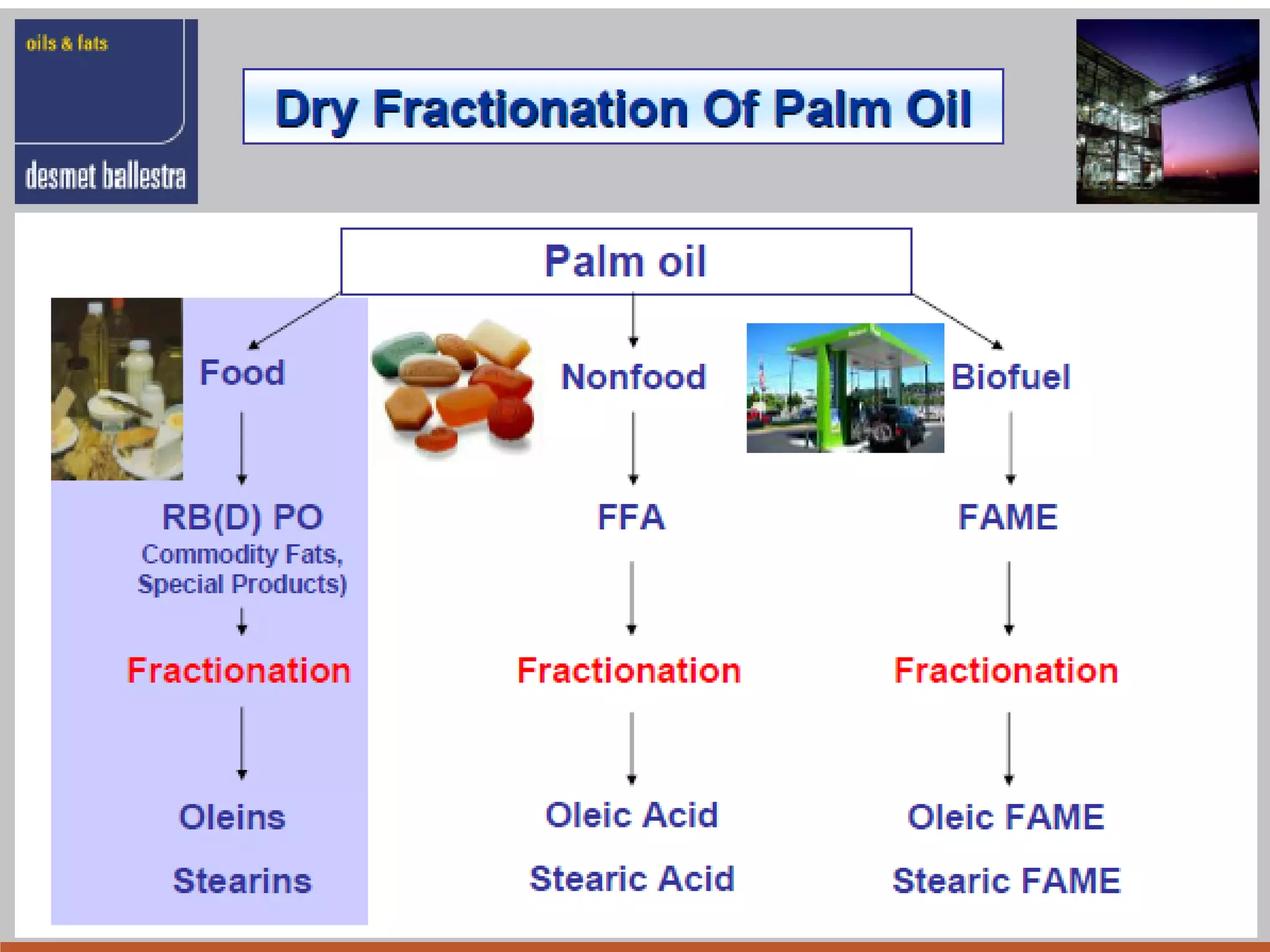 Palm Oil and its Applications in Oleochemicals Industries: an Overview ...