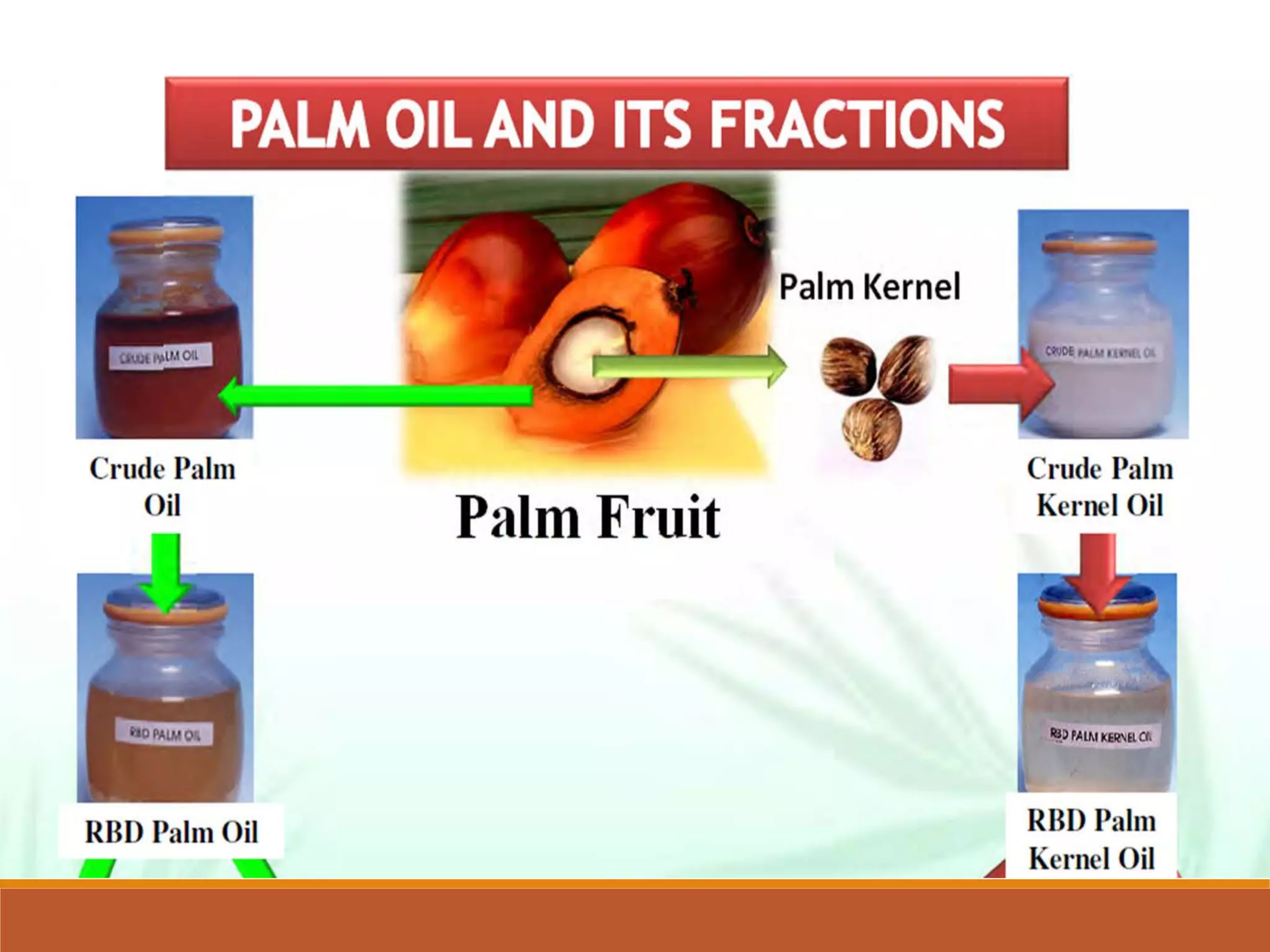 Palm Oil and its Applications in Oleochemicals Industries: an Overview ...