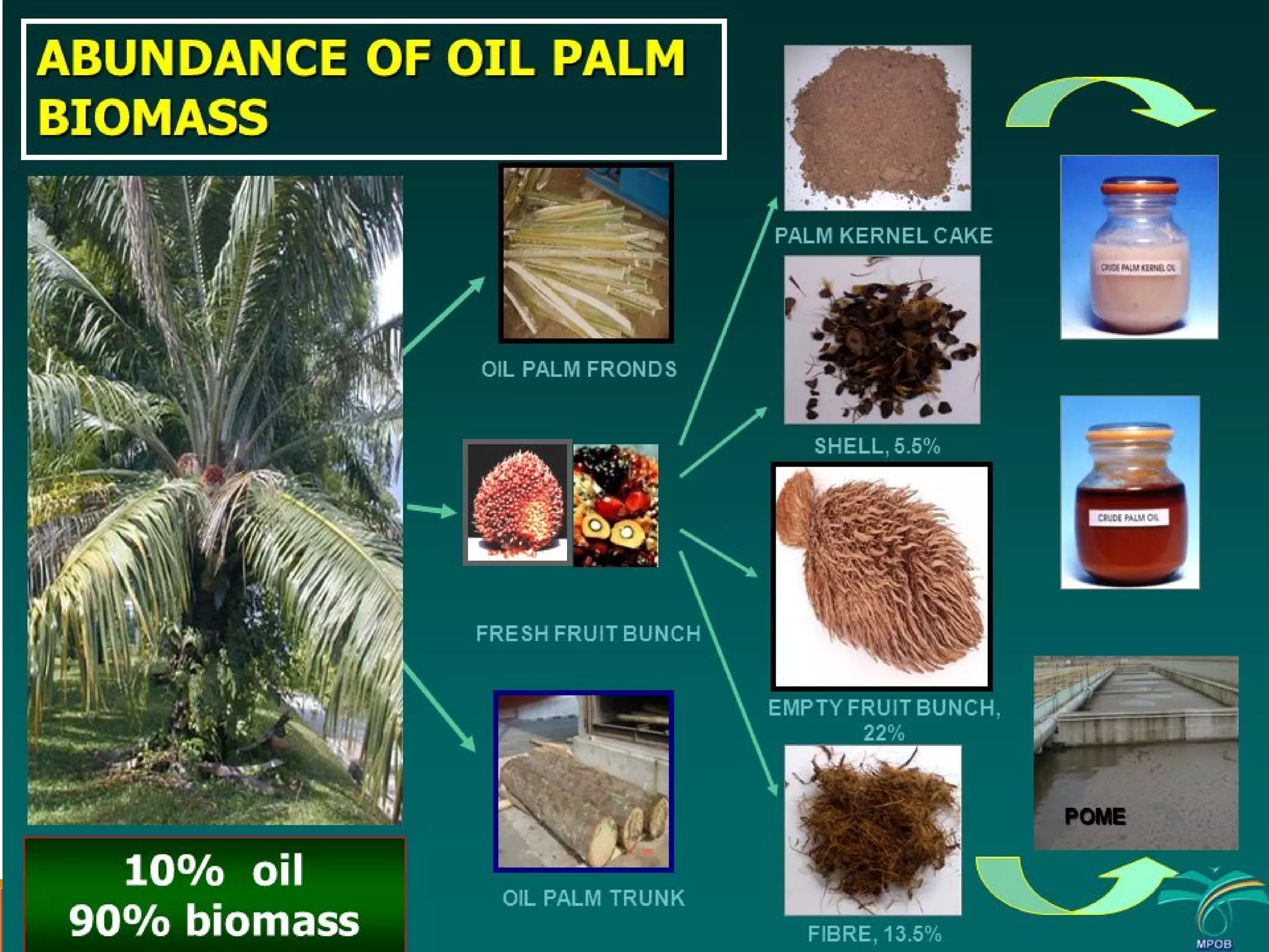 Palm Oil and its Applications in Oleochemicals Industries: an Overview ...