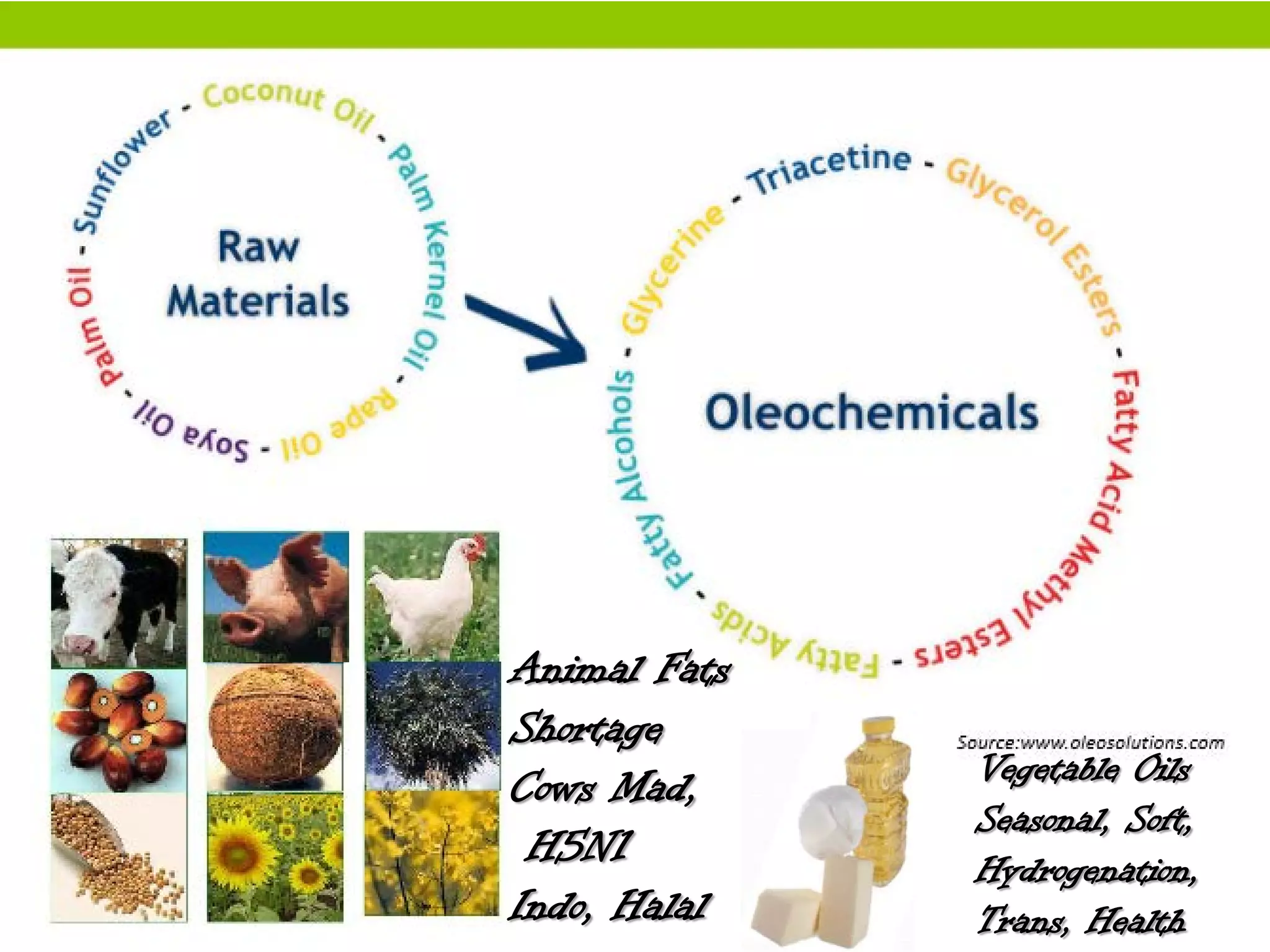 Palm Oil and its Applications in Oleochemicals Industries: an Overview ...