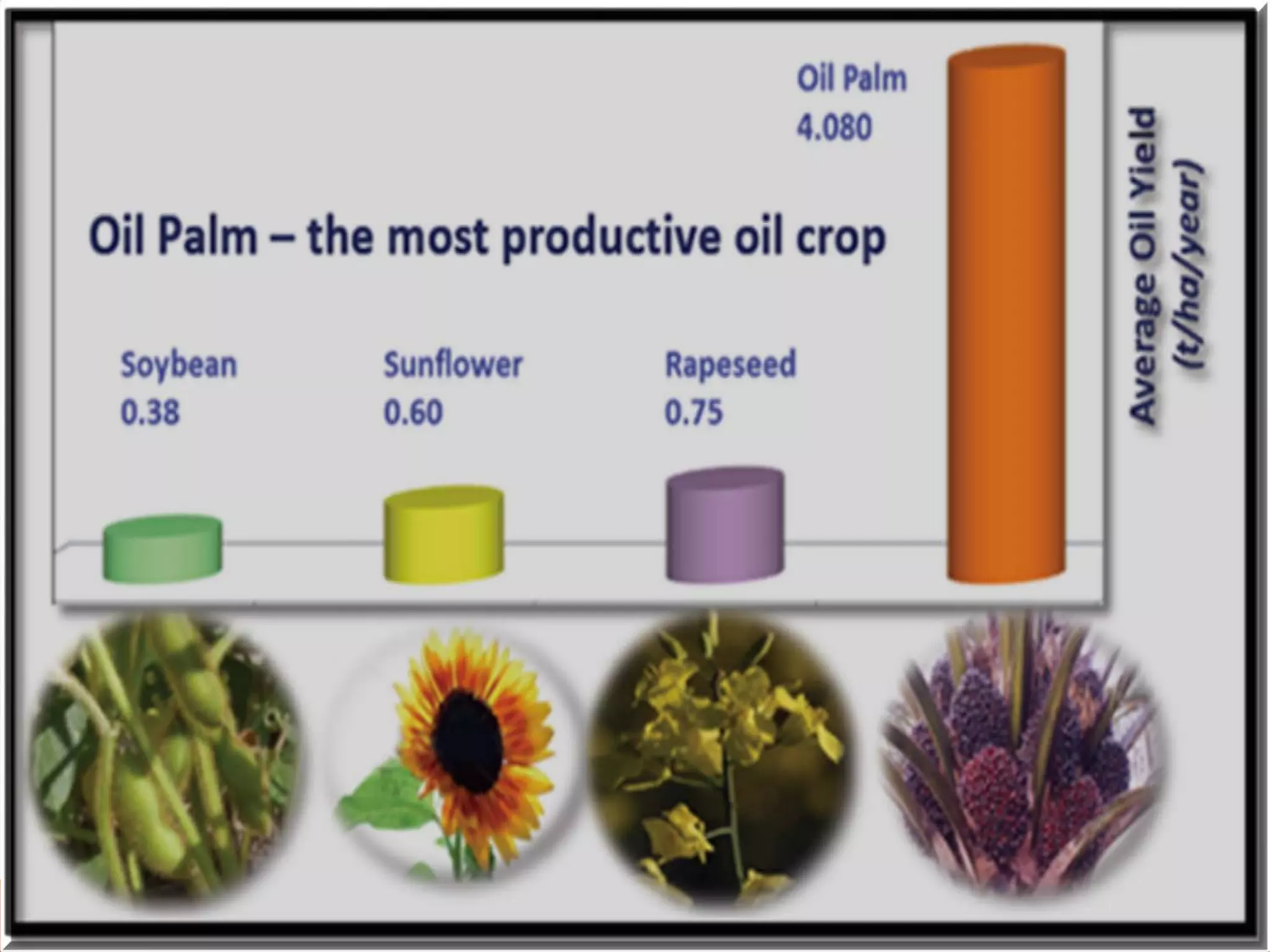 Palm Oil and its Applications in Oleochemicals Industries: an Overview ...