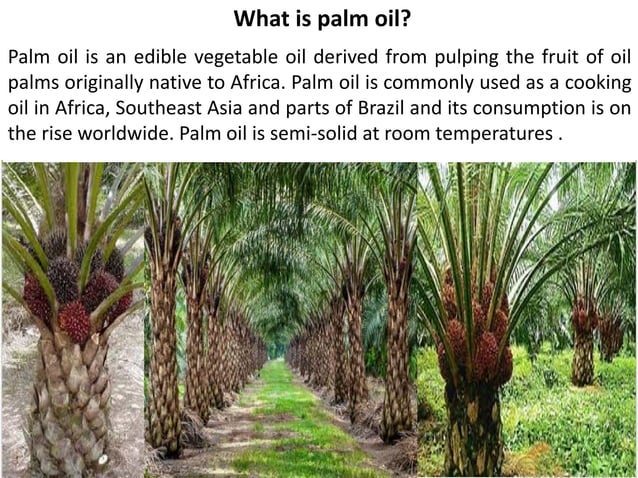 Palm Oil and its Applications in Oleochemicals Industries: an Overview ...