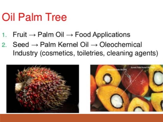 Palm Oil and its Applications in Oleochemicals Industries: an Overview ...