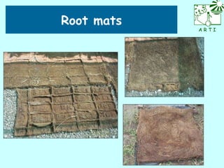 Sustainable Rural Development - Technologies and Opportunities | PPT