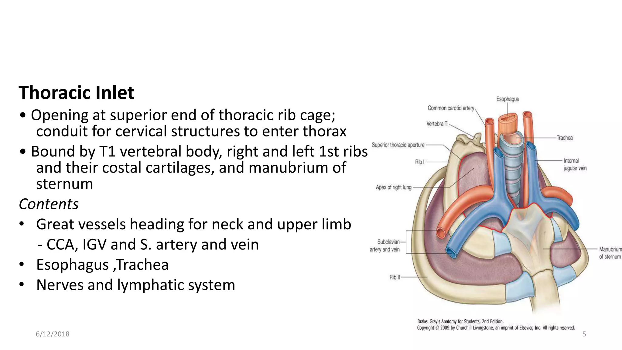 Diaphragm and chest wall anatomy with some clinical correlates | PPTX