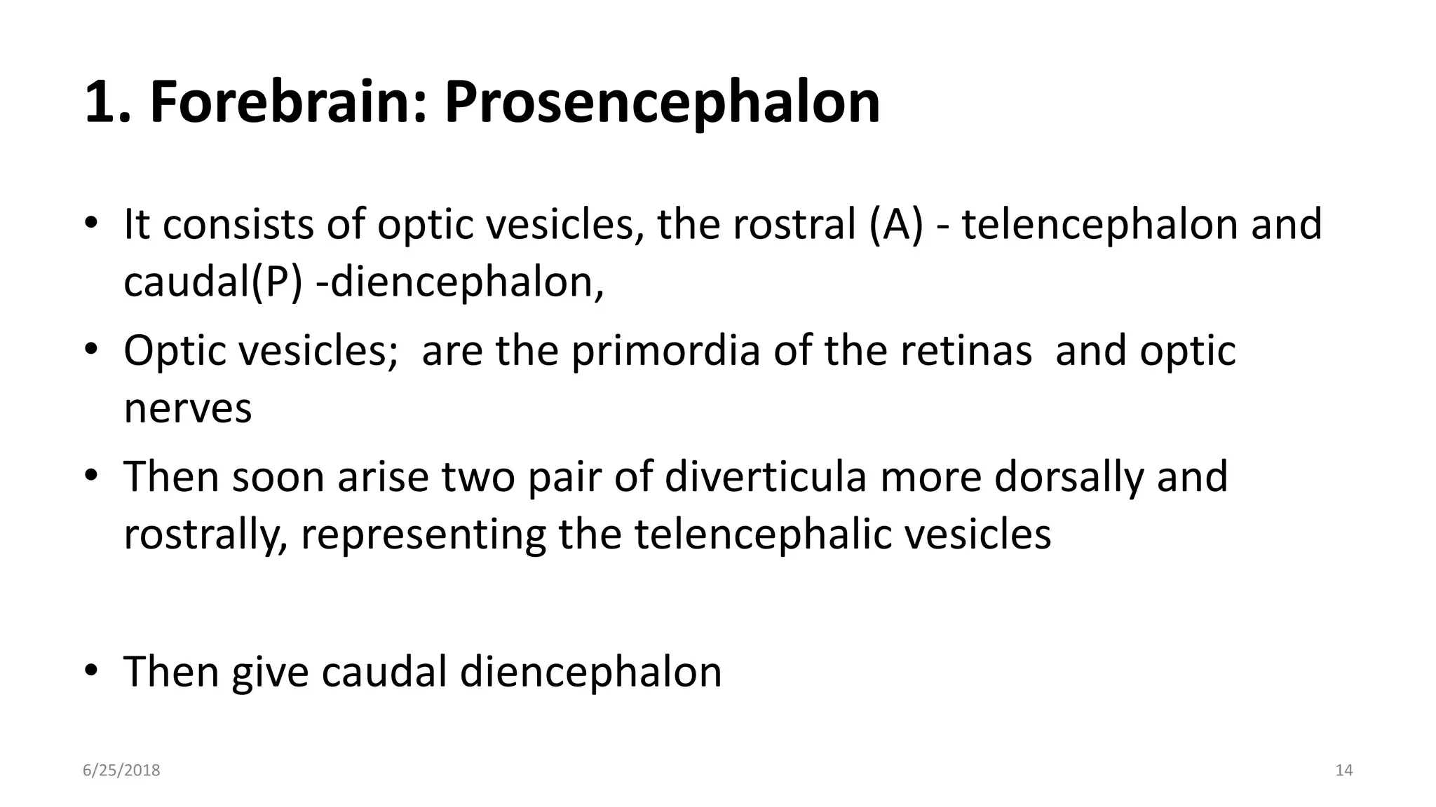 embryology of brain | PPTX