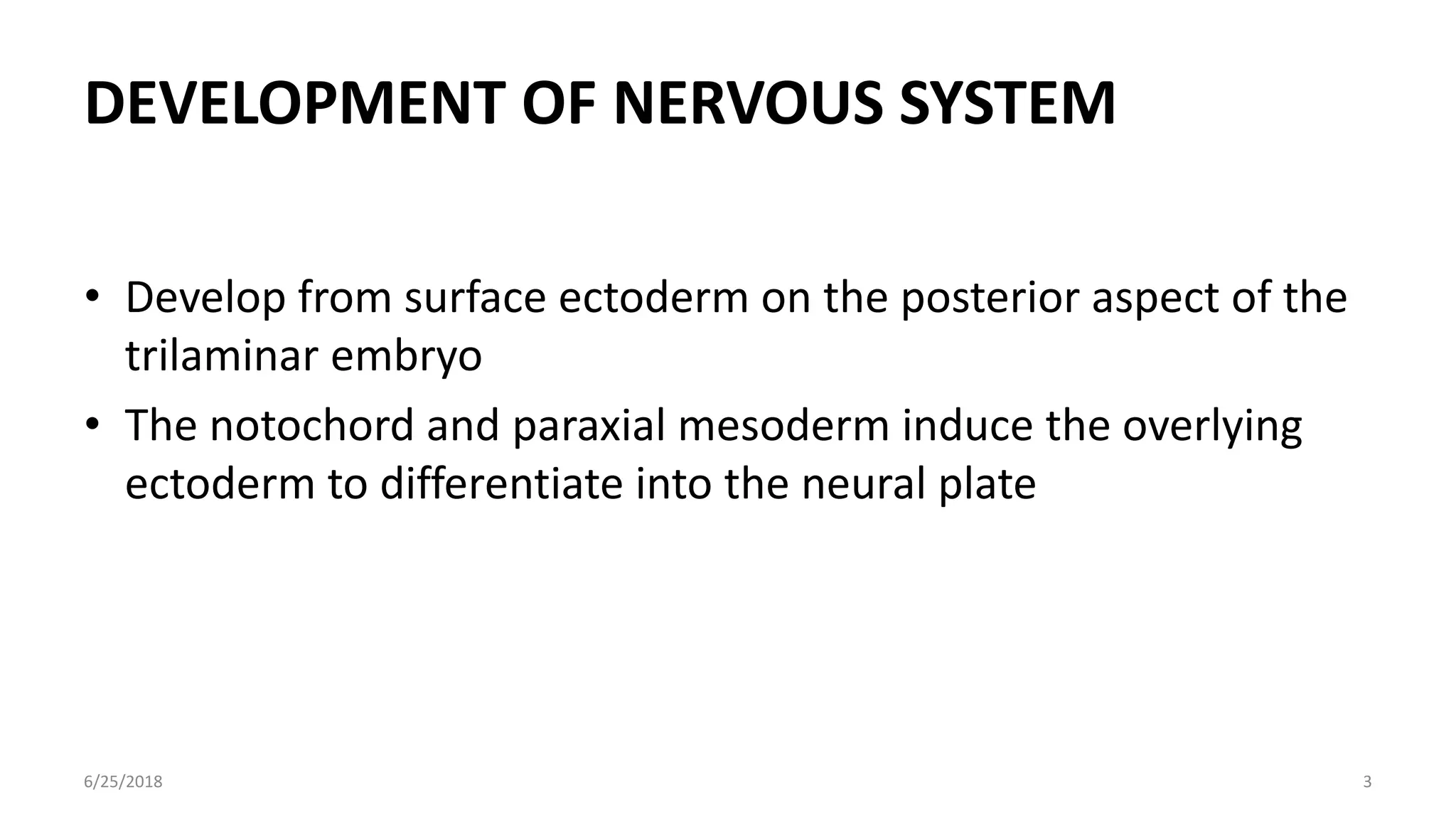 embryology of brain | PPTX