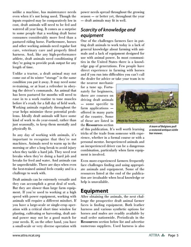 Draft Animal Power for Farming | PDF