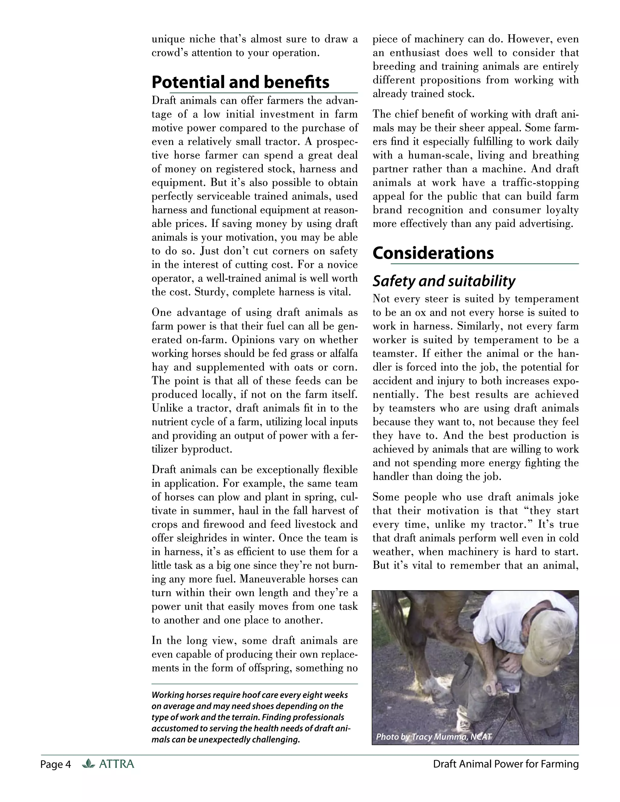 Draft Animal Power for Farming | PDF