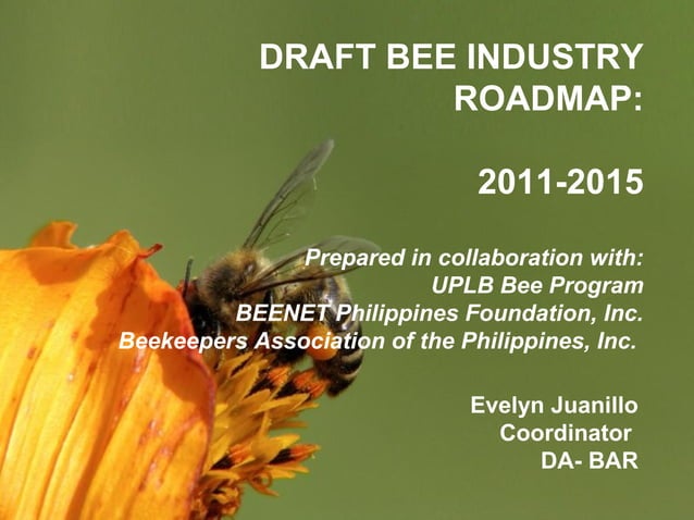 bee industry roadmap | PPT