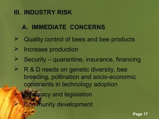 bee industry roadmap | PPT