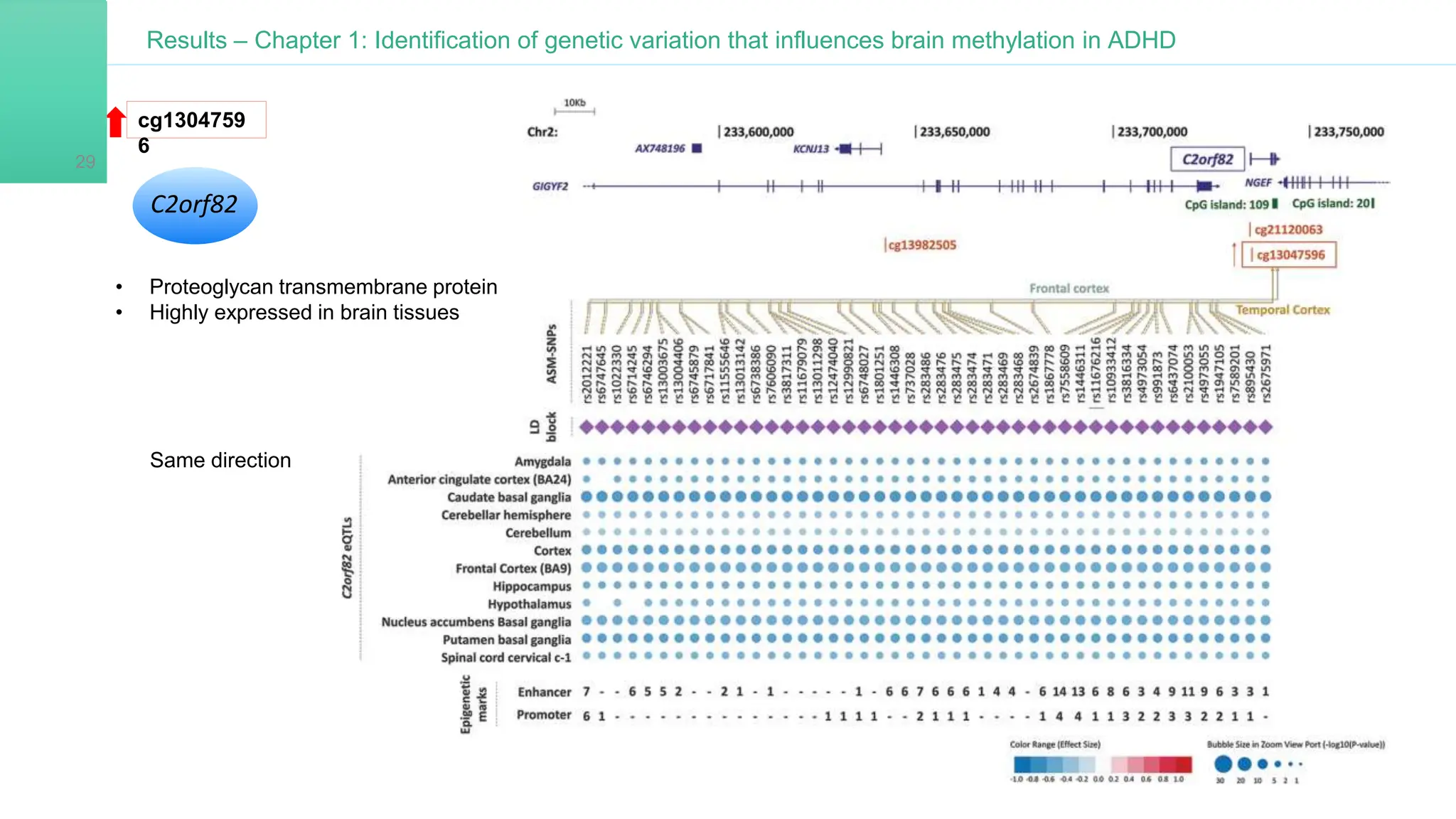Genetics and epigenetics of ADHD and comorbid conditions | PPTX