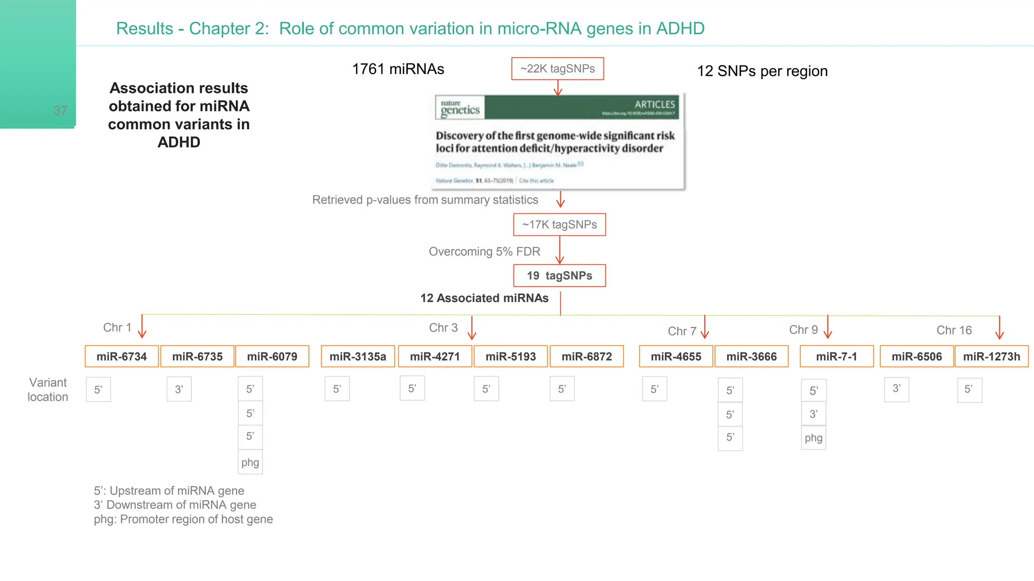 Genetics and epigenetics of ADHD and comorbid conditions | PPTX