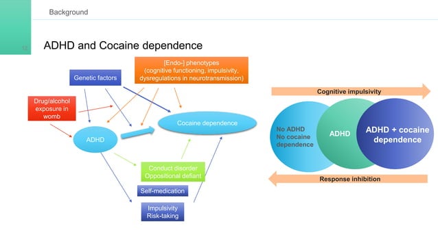 Genetics and epigenetics of ADHD and comorbid conditions | PPTX