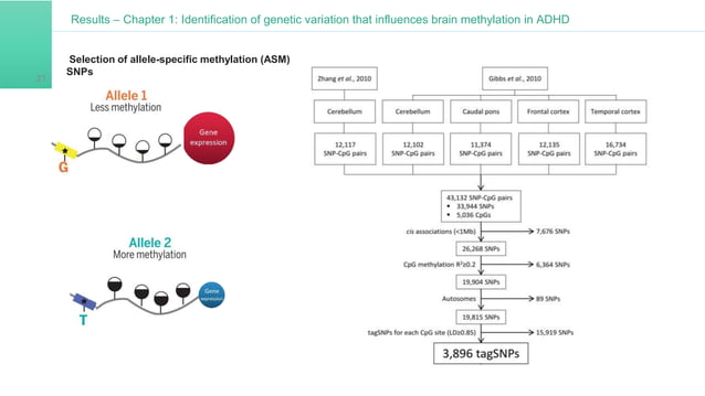 Genetics and epigenetics of ADHD and comorbid conditions | PPTX