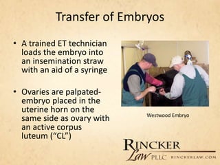 Drafting Embryo Transfer Contracts for Livestock Producers | PPTX