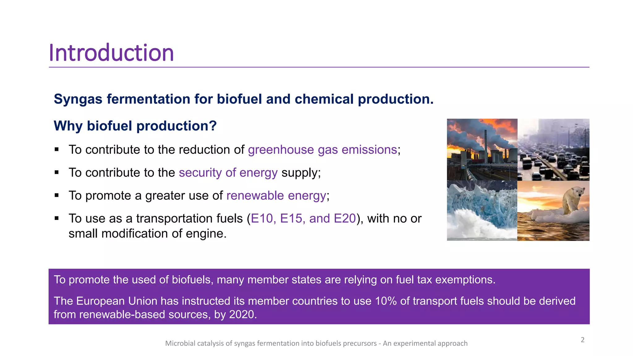 Microbial catalysis of syngas fermentation into biofuels precursors ...