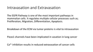 Presentation V1 | PPTX