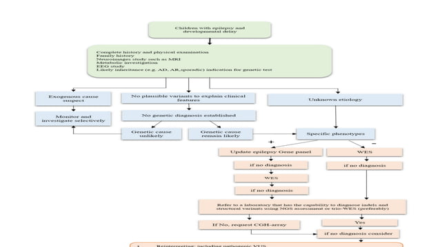 draft presentation - Ahmed salah ali.pptx