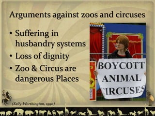 Is the use of Animals in Sport & Entertainment Ethically Justifiable ...