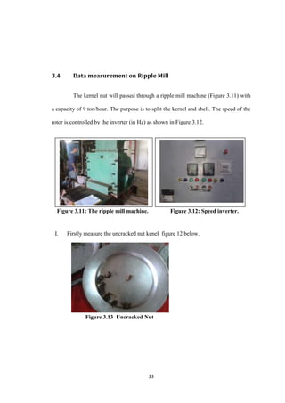 Palm Kernel Production of Nut Cracking Efficiency | PDF