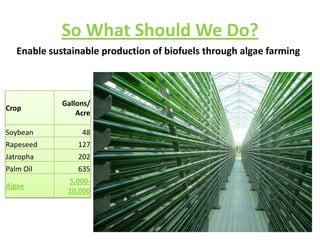 Draft v 6 team 7 sustainable urban biofuel complex | PPT