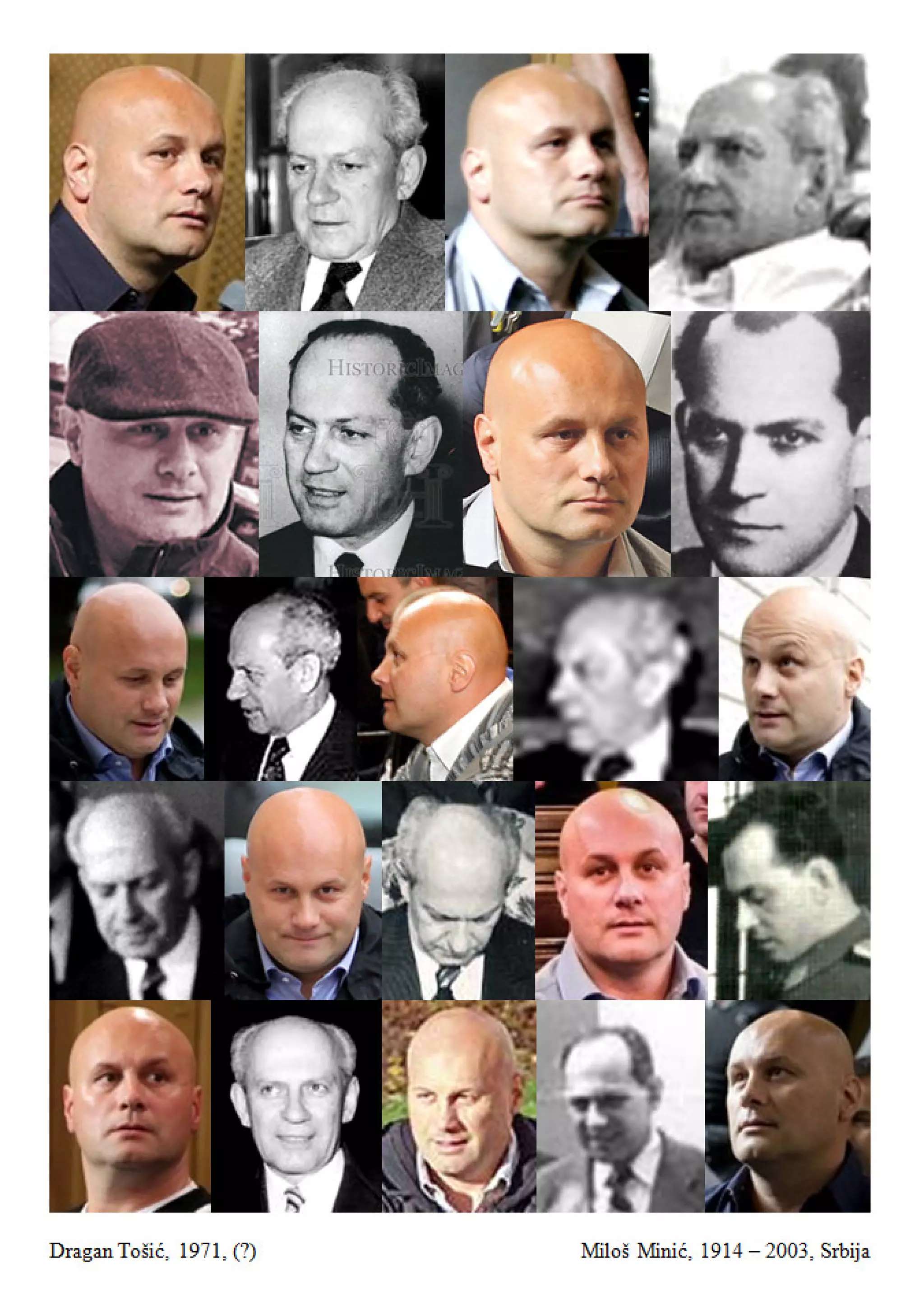 Dragan Tošić - Miloš Minić | PDF