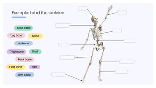 ClassPoint Draggable Objects Examples in PowerPoint | PPTX