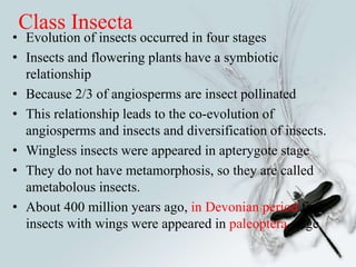 Dragonflies and damsenflies in Anawilundawa Ramsar wetland - Sri lanka ...