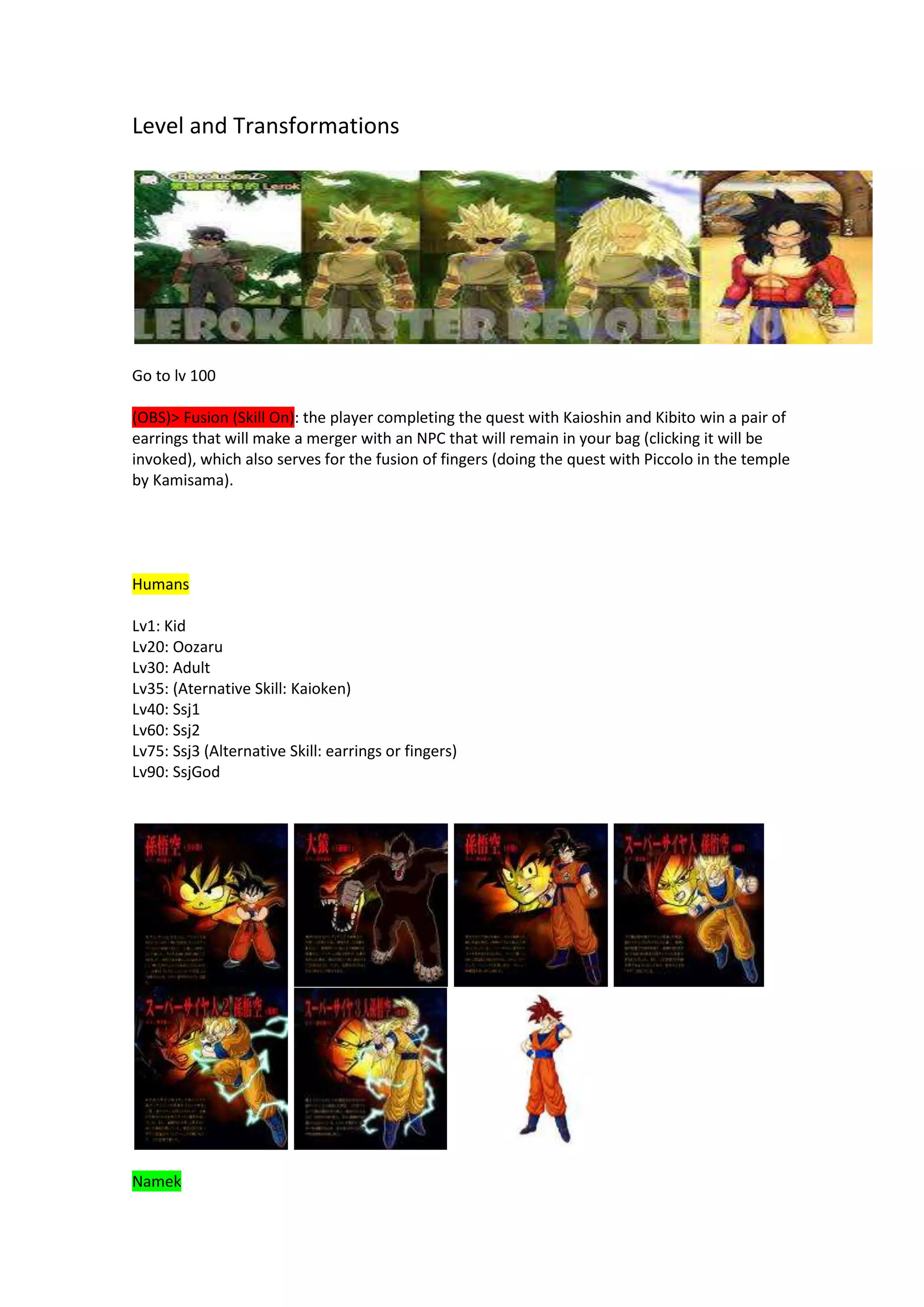 Dragon ball online - Project | DOCX