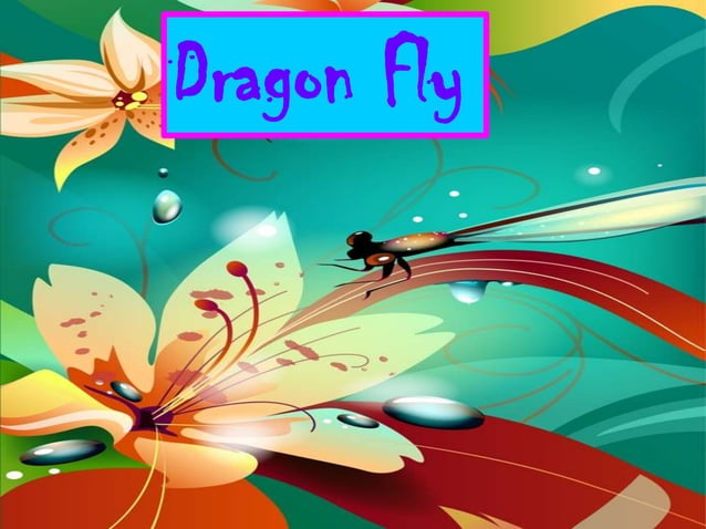 Dragonfly | PPT