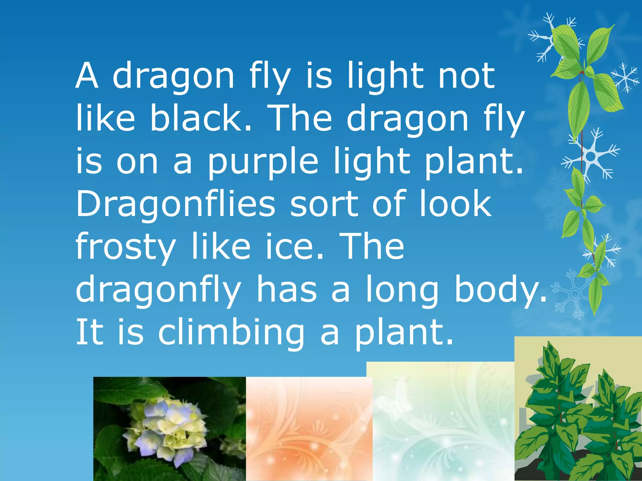 Dragonfly | PPT