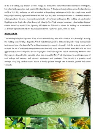 Dragonfly | PDF