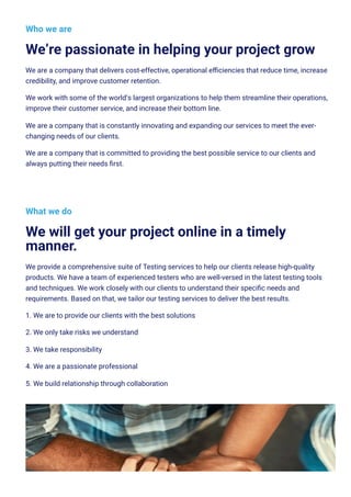 Dragonfly Software Testing | PDF