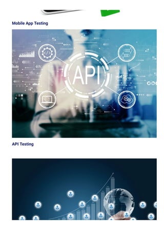 Dragonfly Software Testing | PDF