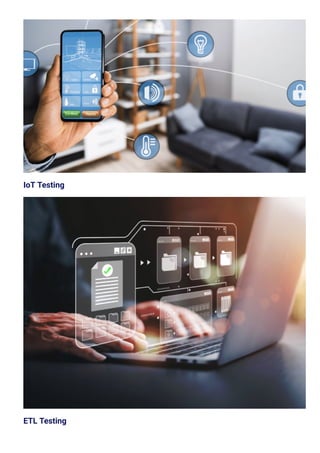 Dragonfly Software Testing | PDF