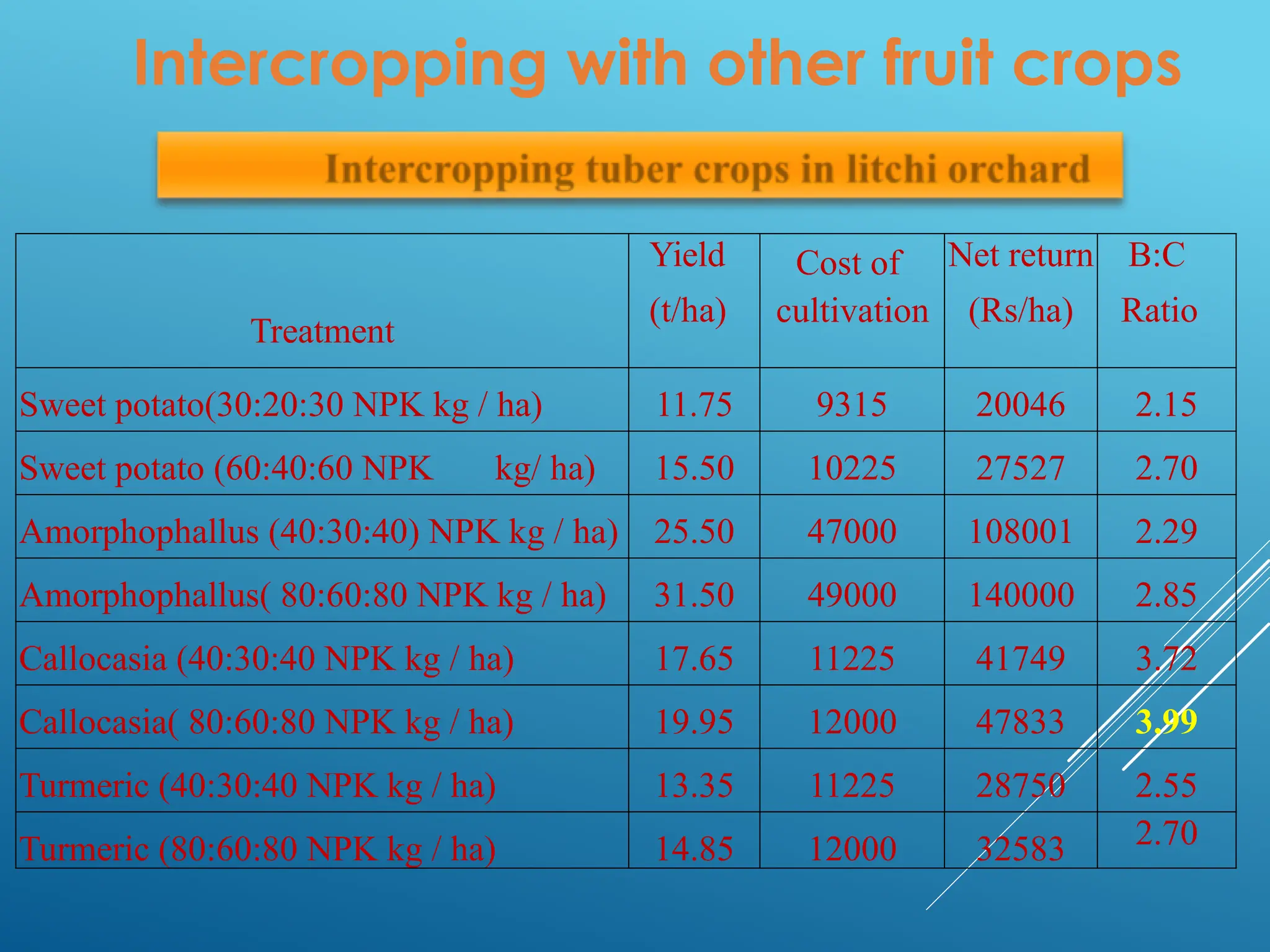 Vegetable based intercropping in Fruit Crops: Dragon Fruit | PPTX