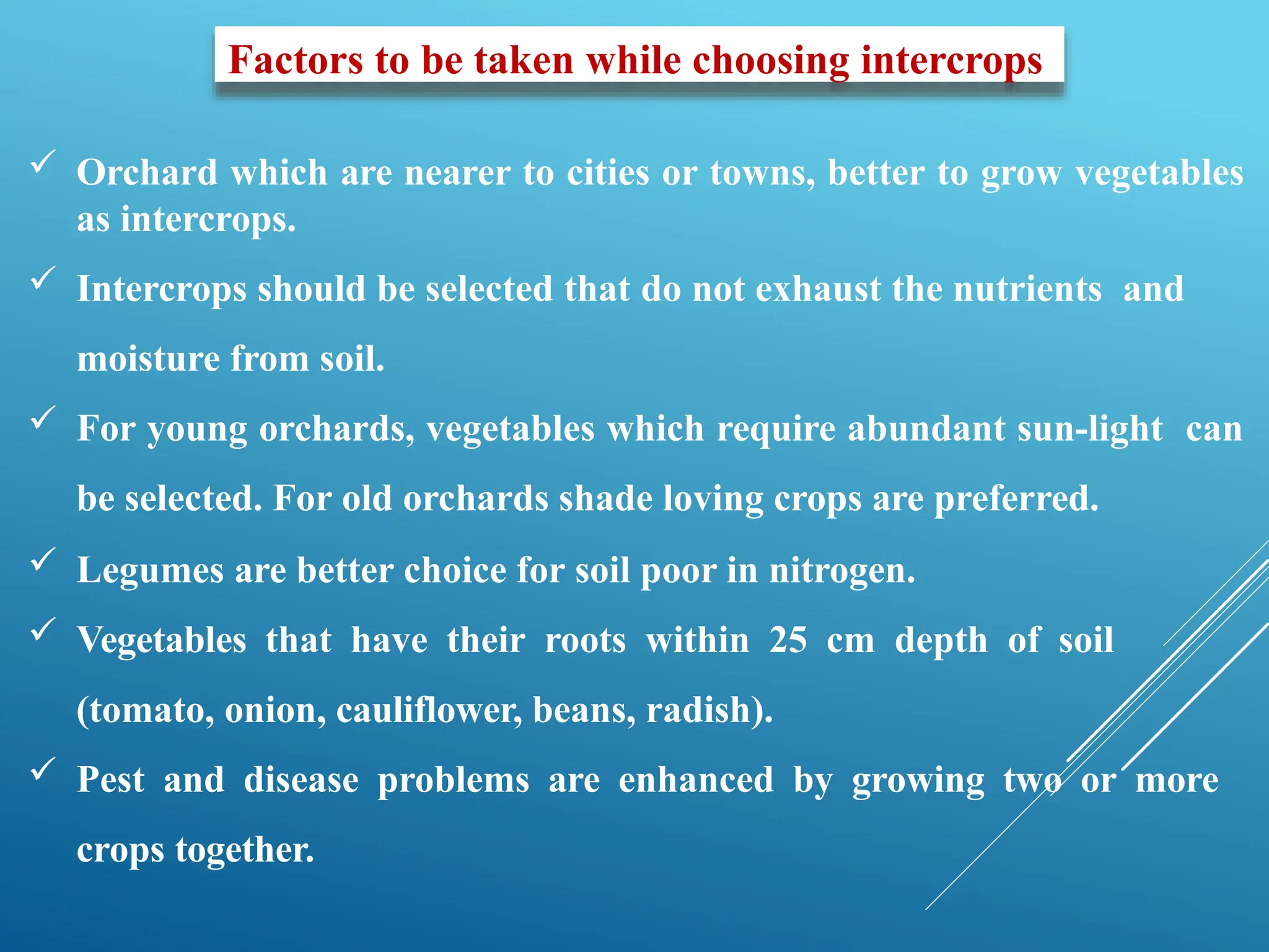 Vegetable based intercropping in Fruit Crops: Dragon Fruit | PPTX