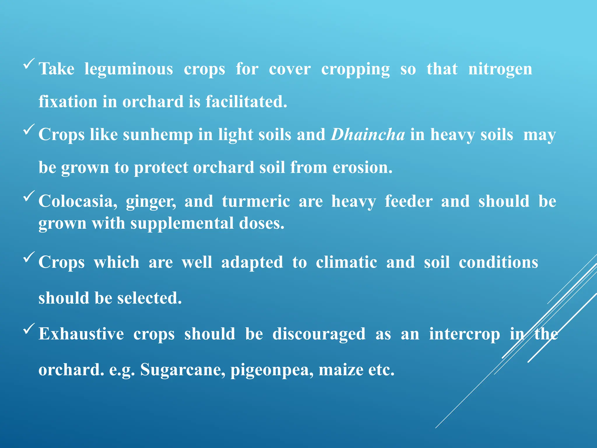 Vegetable based intercropping in Fruit Crops: Dragon Fruit | PPTX
