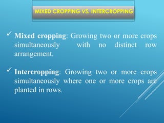Vegetable based intercropping in Fruit Crops: Dragon Fruit | PPTX