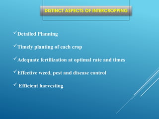 Vegetable based intercropping in Fruit Crops: Dragon Fruit | PPTX