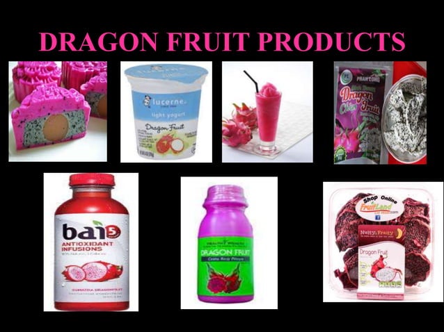 Dragon fruit procssing and value addtion | PPTX