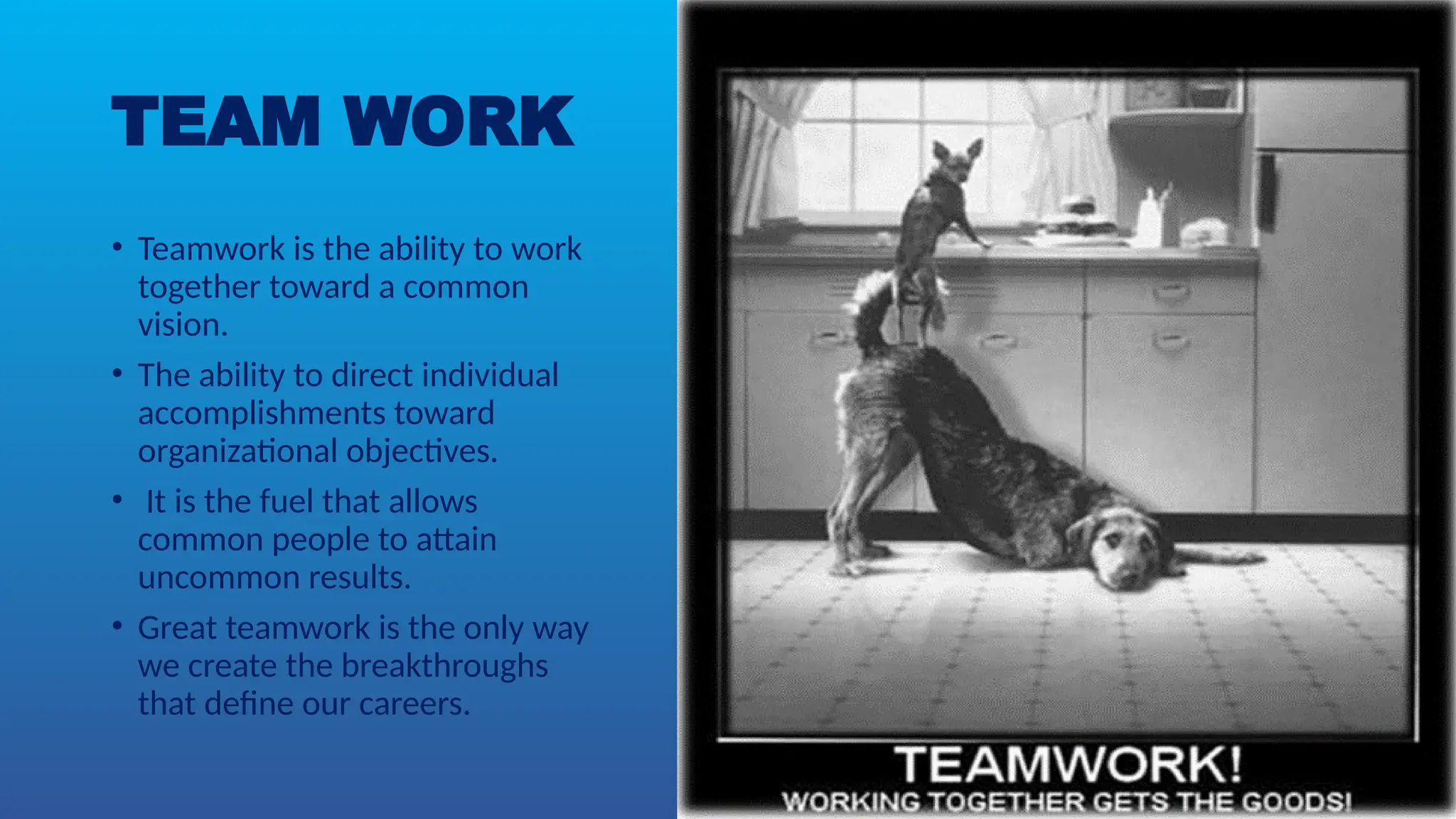 dragon presentation.pptxoooooooooooooooooooooooooo | PPT