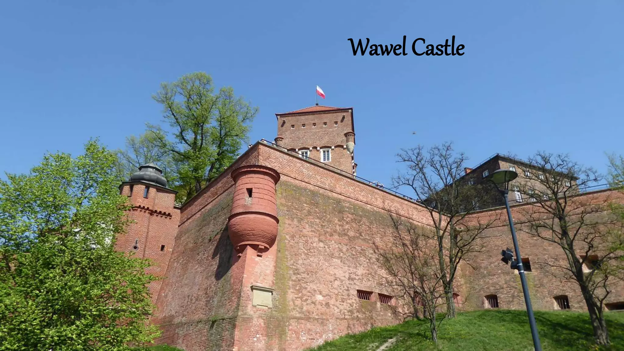 The Legend of the Wawel Dragon | PPTX | Food & Drink