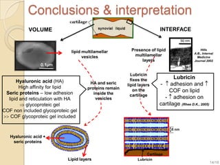 Synovial fluid's physicochemical analysis: role of the interactions ...