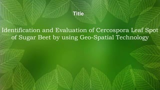 Identification and Evaluation of Cercospora Leaf Spot of Sugar Beet by using Geo-Spatial ...
