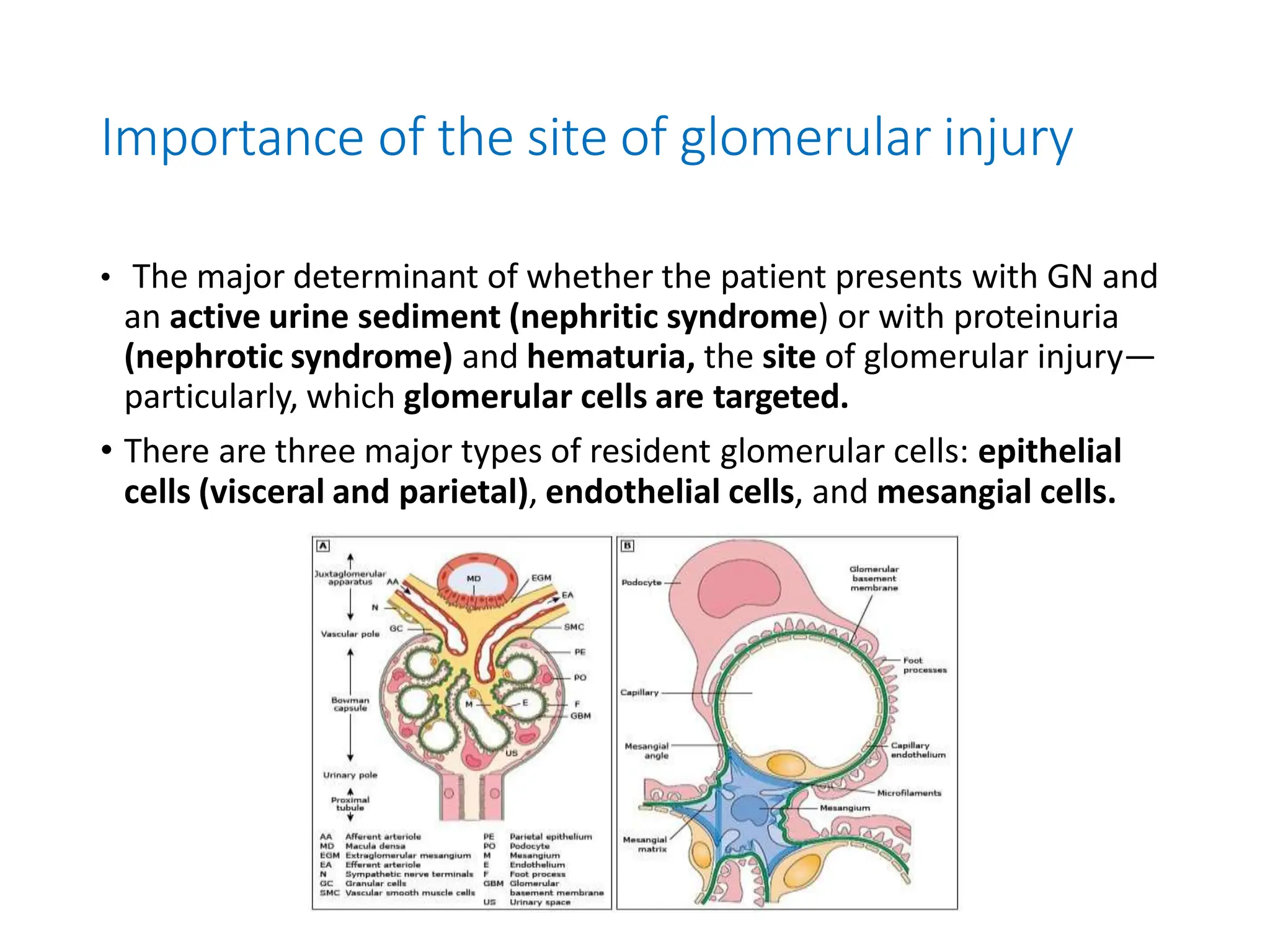 dr Aida Lydia - Practical Approach in CLomerular Disease (1).pptx ...